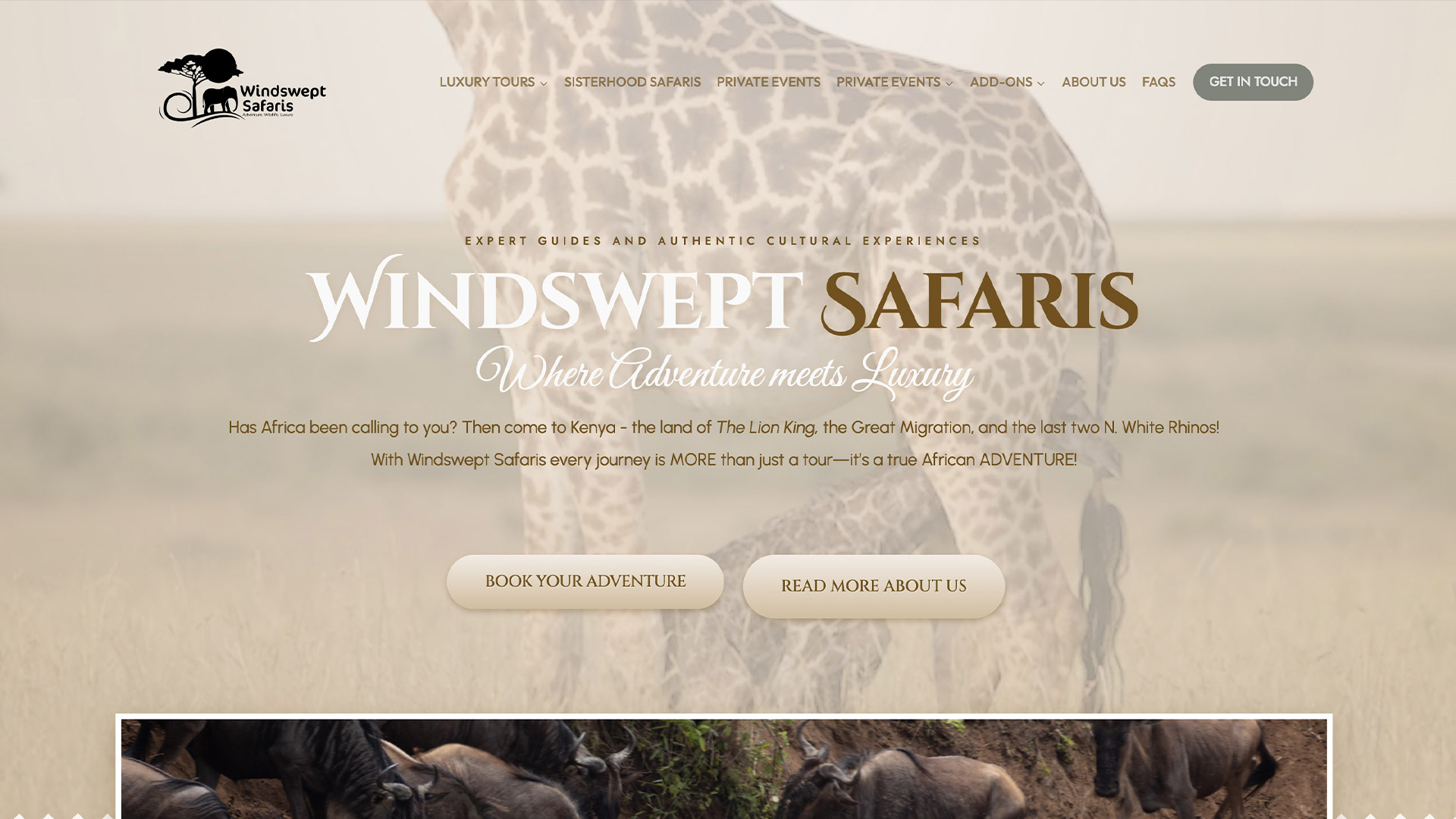 Windswept Safaris - Luxury African Safari Tours in Kenya